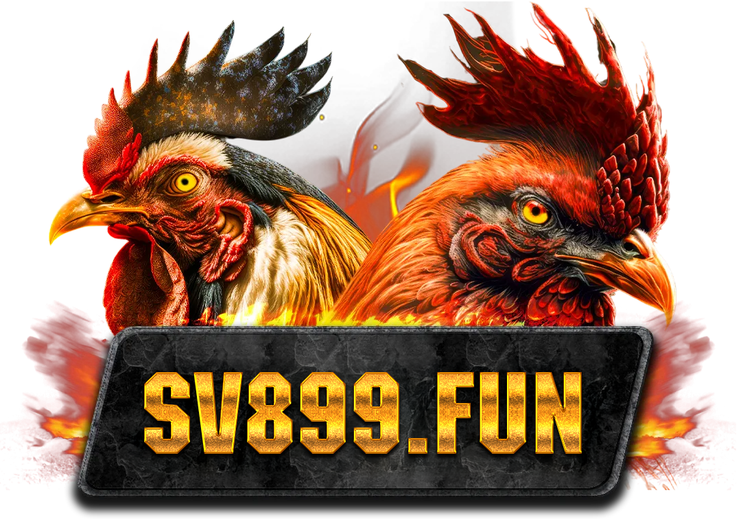 SV899.FUN 🎖️ TRANG ĐÁ GÀ THOMO CHÍNH THỨC BJ66 | CSKH 24/7